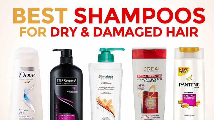 10 Best Shampoos for Dry & Damaged Hair in India